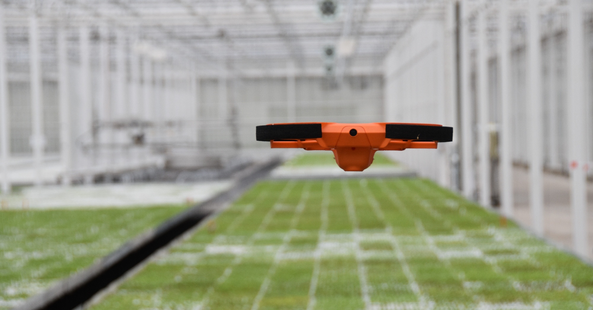 Flying eyes over the crops for optimal plant health